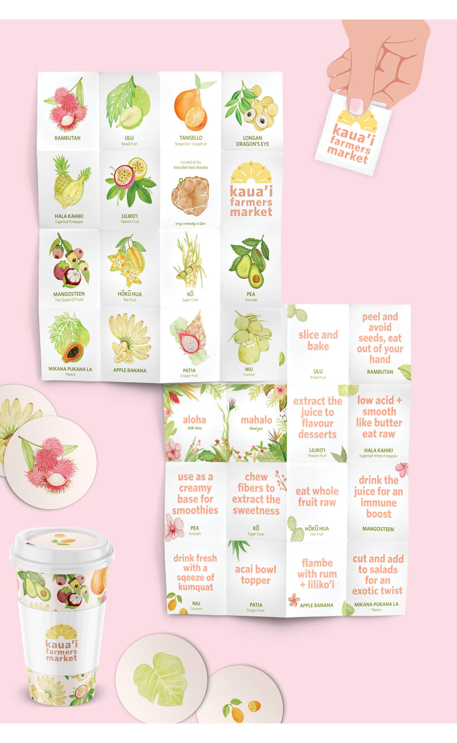 A short interview with Emily Rose, our practicum student from IDEA ...